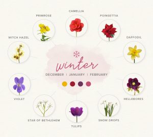 A Guide to Choosing Seasonal Blooms for Your Wedding Flowers